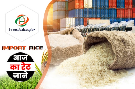 Buy Bulk IR 64 Non Basmati Rice Directly From Rice Mills | IR 64 Rice Price