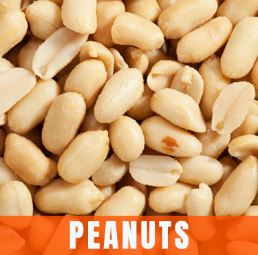 Bulk Peanuts — Buy Peanuts in Bulk through Tradologie.com