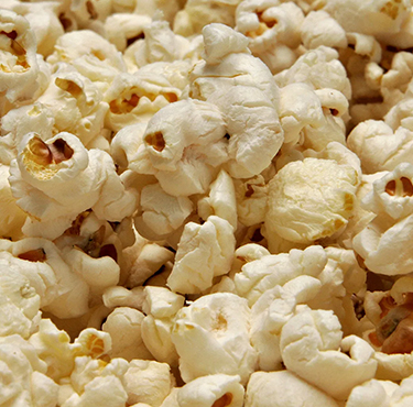 Buy Bulk Popcorn | Popcorn Exporters | Popcorn Trading | Popcorn ...