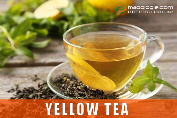 Yellow Tea in Bulk directly from Tradologie.com